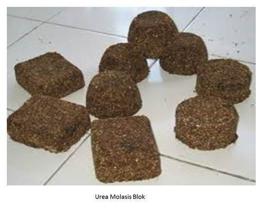 MEMBUAT MINERAL BLOCK SENDIRI – Dinas Peternakan dan Kesehatan Hewan ...