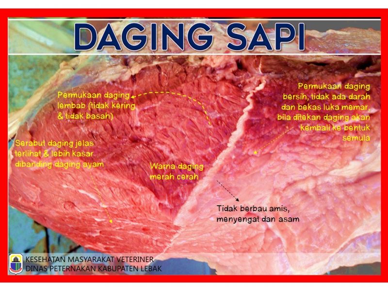 AYO……CERDAS MEMILIH DAGING YANG ASUH [Aman, Sehat, Utuh dan Halal ...