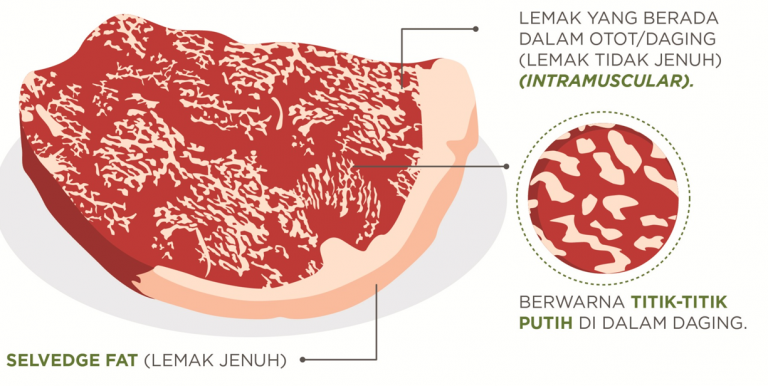 MENGENAL MARBLING PADA DAGING SAPI – Dinas Peternakan dan Kesehatan ...