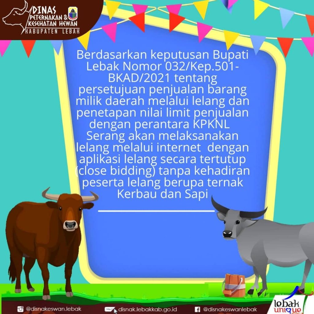 INFO LELANG TERNAK KERBAU & SAPI UPTD PERBIBITAN – Dinas Peternakan dan ...