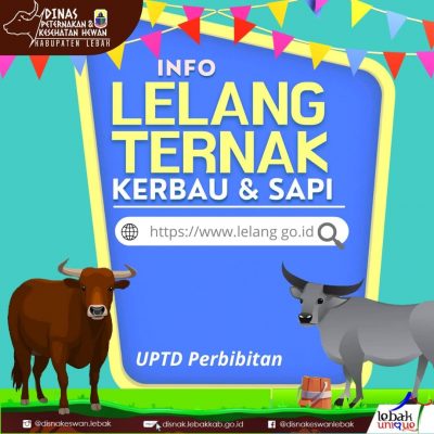 INFO LELANG TERNAK KERBAU & SAPI UPTD PERBIBITAN – Dinas Peternakan dan ...