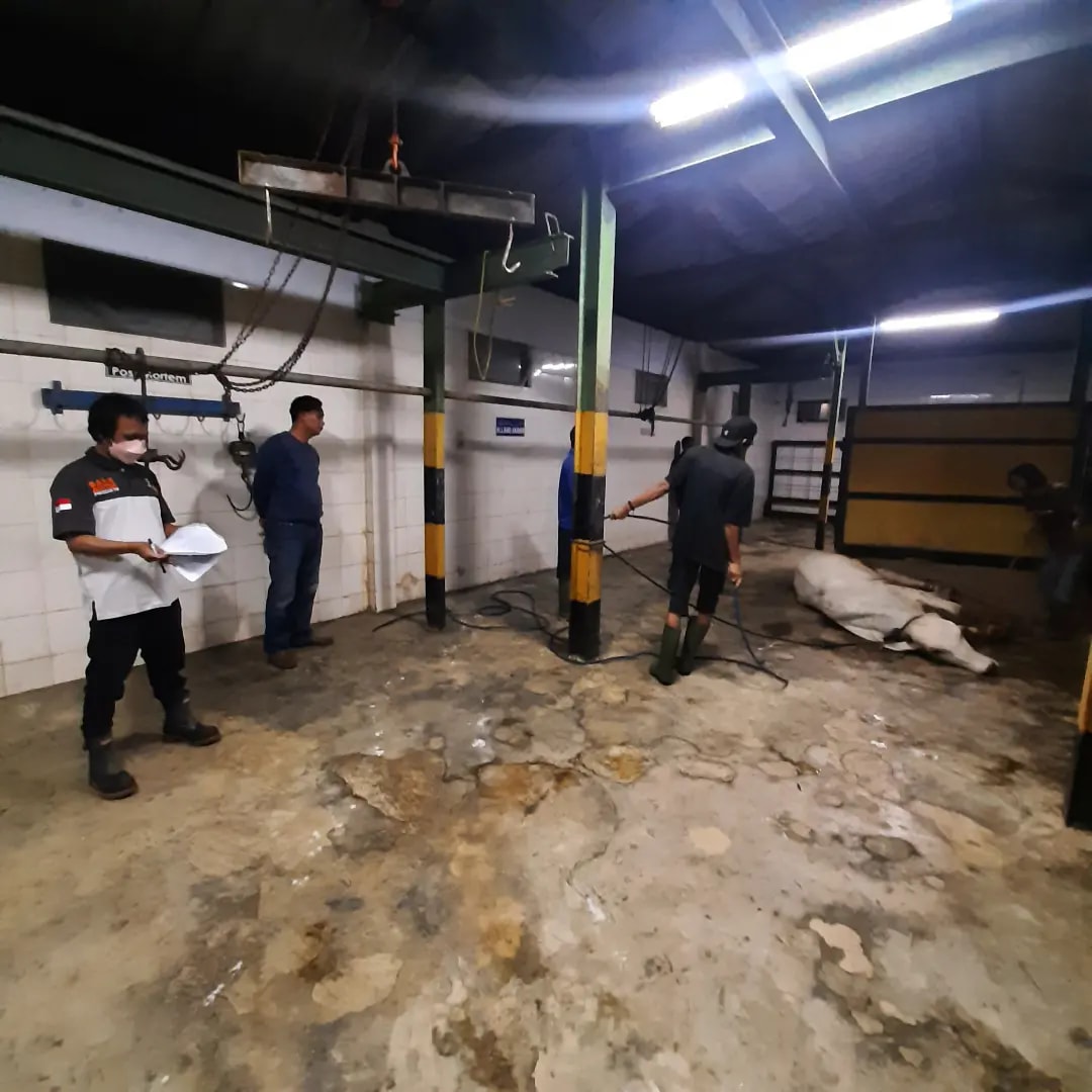 AUDIT SERTIFIKASI NOMOR KONTROL VETERINER UPT RPH RANGKASBITUNG – Dinas ...