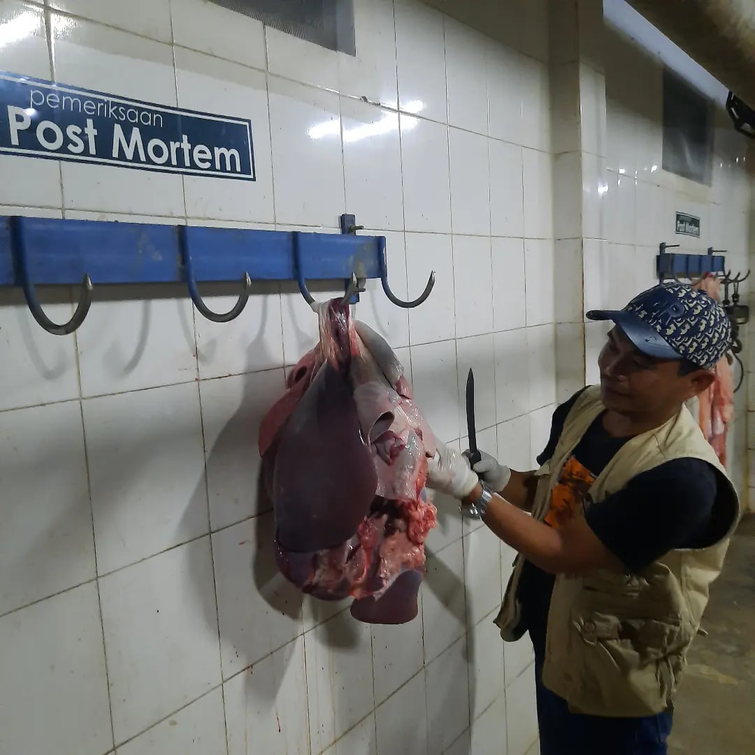 AUDIT SERTIFIKASI NOMOR KONTROL VETERINER UPT RPH RANGKASBITUNG – Dinas ...