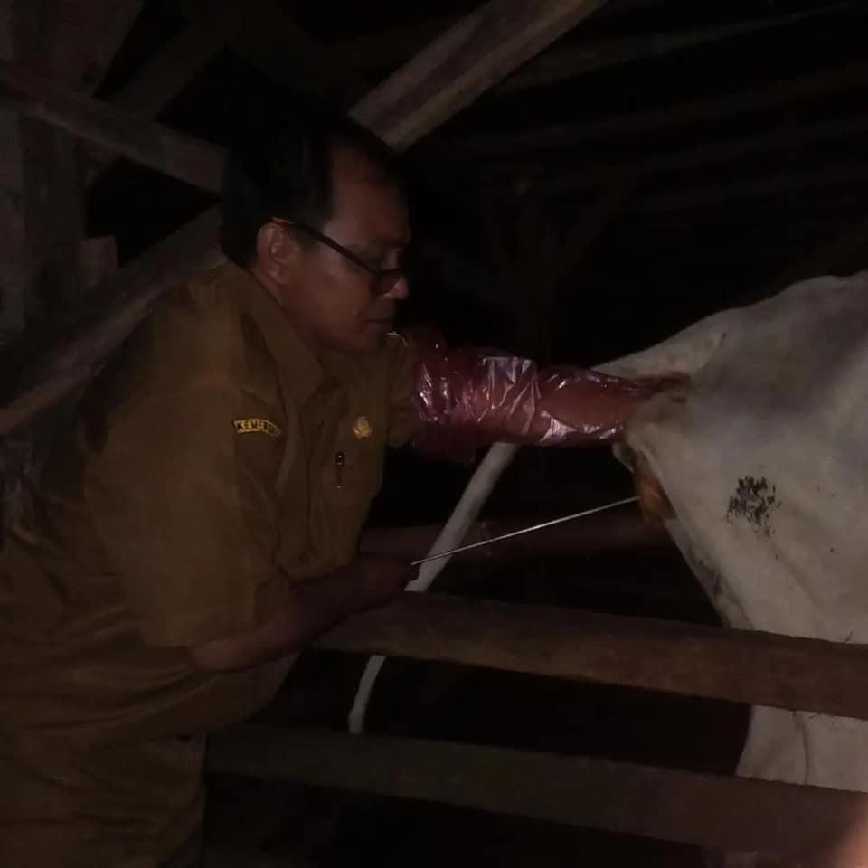 TINGKATKAN POPULASI PETUGAS INSEMINATOR GENCARKAN AKTIVITAS INSEMINASI ...