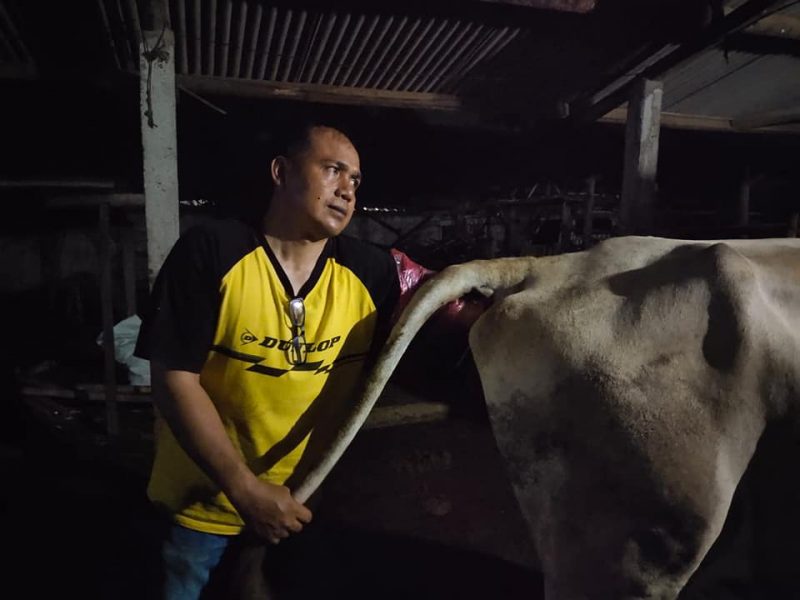 TINGKATKAN POPULASI PETUGAS INSEMINATOR GENCARKAN AKTIVITAS INSEMINASI BUATAN – Dinas Peternakan ...