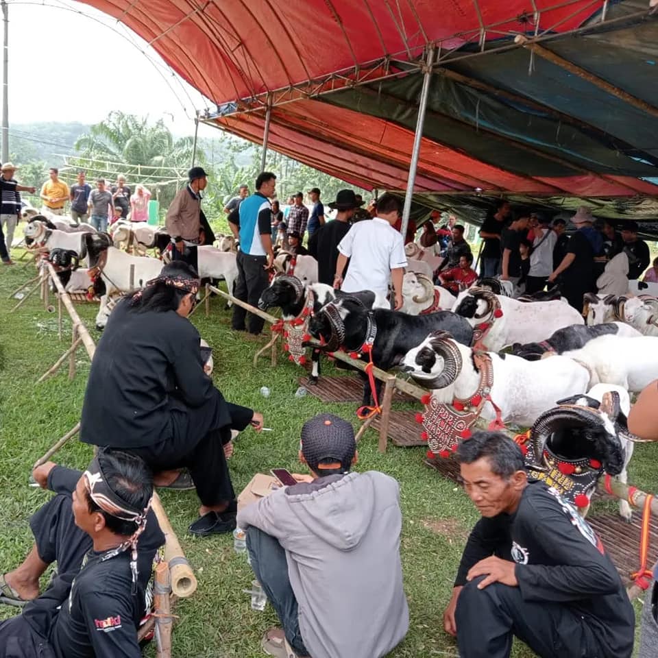 TUMBUHKAN GELIAT PETERNAKAN SADULURAN PETERNAK LEBAK ( SPL ...