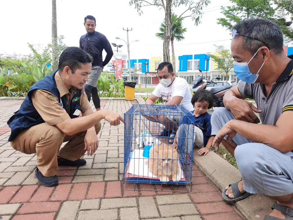 CEGAH RABIES TIM KESEHATAN HEWAN LAKUKAN VAKSINASI RABIES – Dinas ...