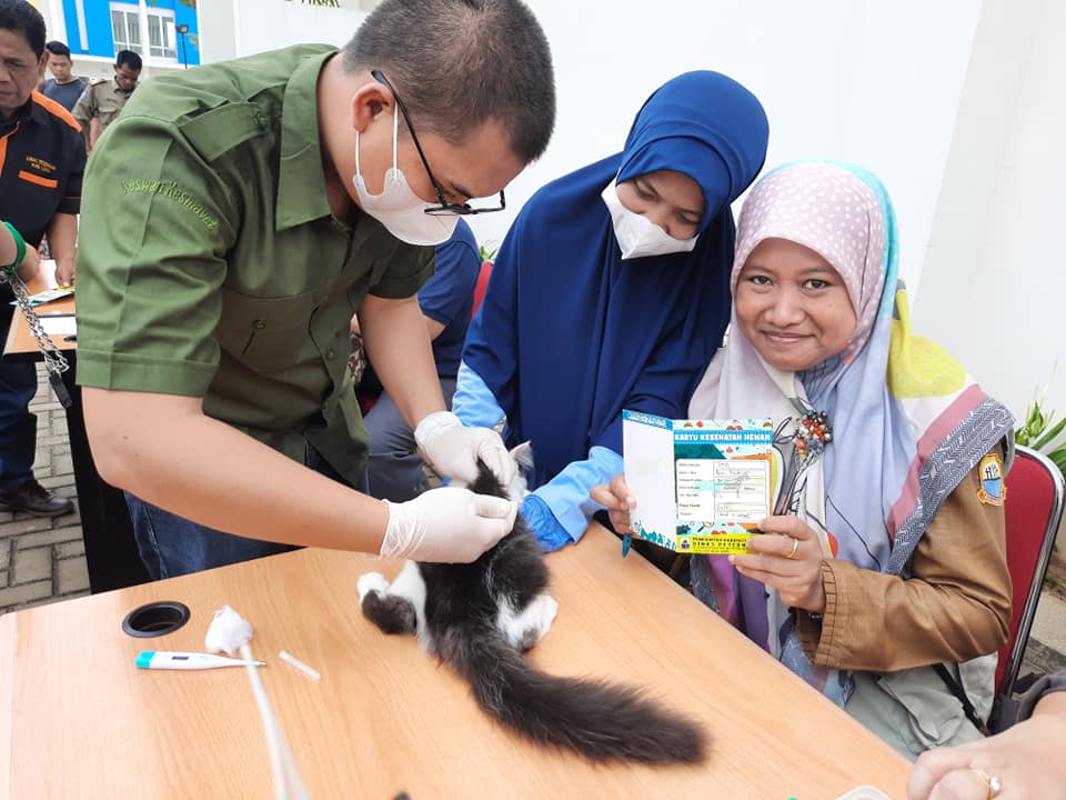 CEGAH RABIES TIM KESEHATAN HEWAN LAKUKAN VAKSINASI RABIES – Dinas ...