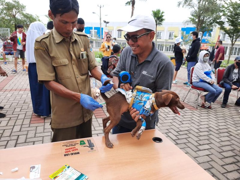 CEGAH RABIES TIM KESEHATAN HEWAN LAKUKAN VAKSINASI RABIES – Dinas ...