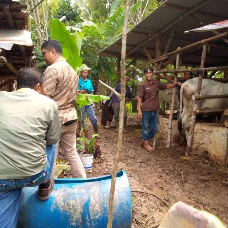 TINGKATKAN POPULASI TERNAK DISNAKESWAN LAKSANAKAN SINKRONISASI ESTRUS, INSEMINASI BUATAN DAN ...