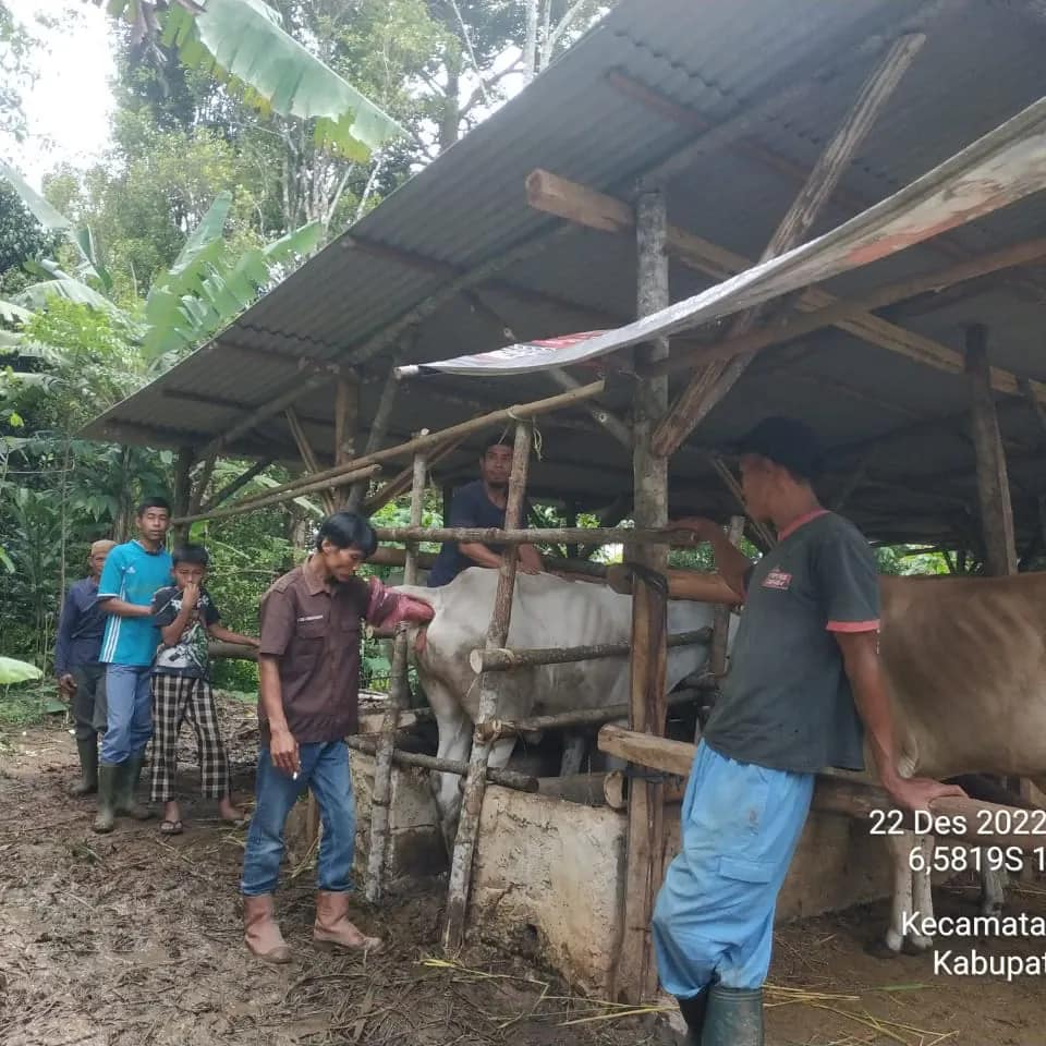 TINGKATKAN POPULASI TERNAK DISNAKESWAN LAKSANAKAN SINKRONISASI ESTRUS, INSEMINASI BUATAN DAN ...