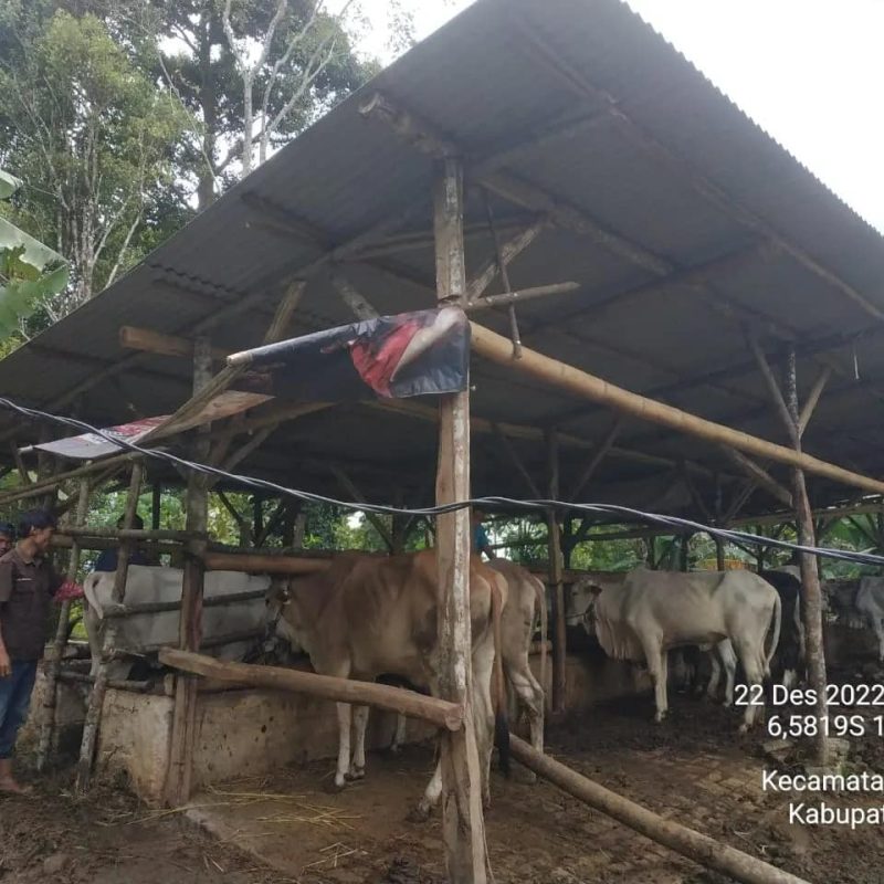 TINGKATKAN POPULASI TERNAK DISNAKESWAN LAKSANAKAN SINKRONISASI ESTRUS, INSEMINASI BUATAN DAN ...