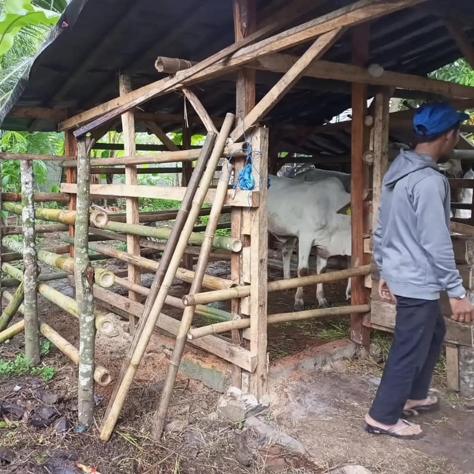 TINGKATKAN POPULASI TERNAK DISNAKESWAN LAKSANAKAN SINKRONISASI ESTRUS, INSEMINASI BUATAN DAN ...