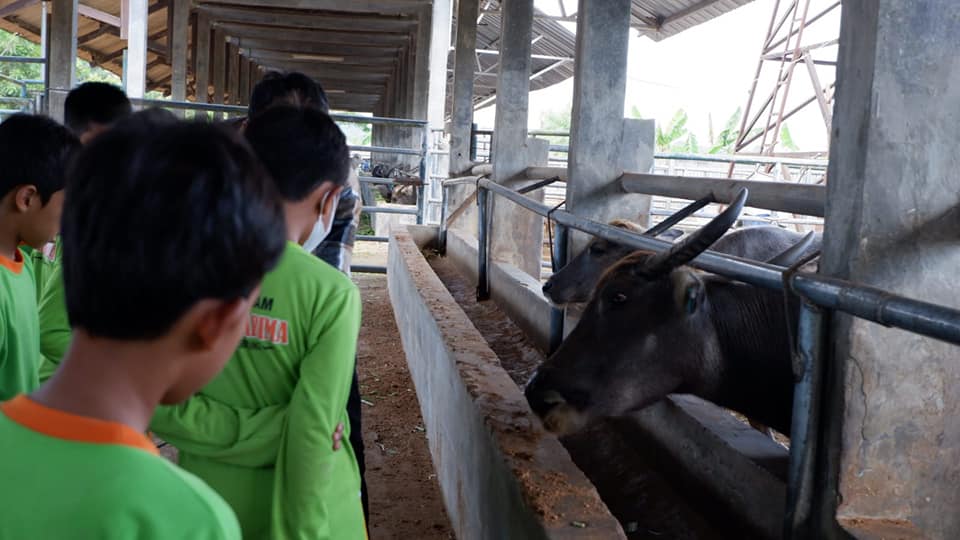 JADI TEMPAT EDUKASI PETERNAKAN UPTD PERBIBITAN DISNAKESWAN TERIMA ...