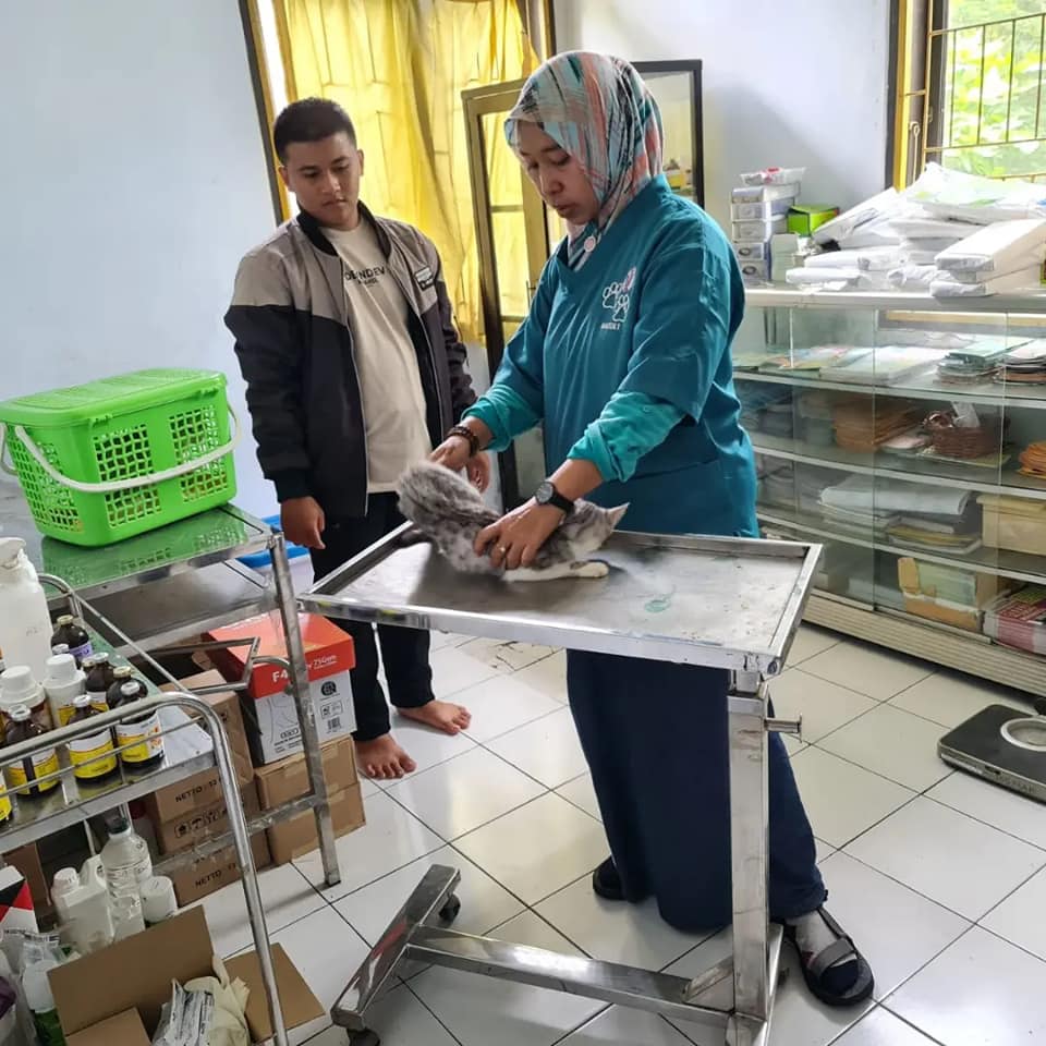 PELAYANAN KESEHATAN HEWAN KESAYANGAN TEMPAT PELAYANAN KESEHATAN HEWAN ...