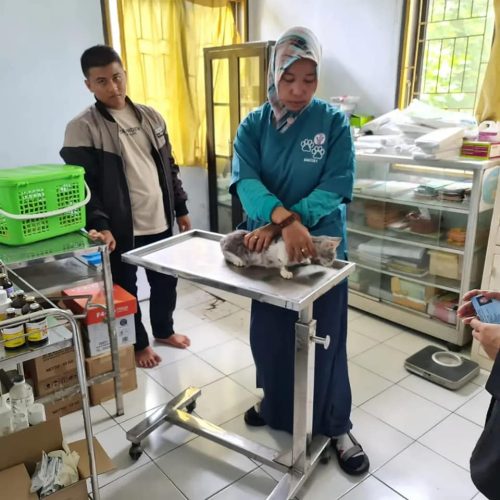 PELAYANAN KESEHATAN HEWAN KESAYANGAN TEMPAT PELAYANAN KESEHATAN HEWAN ...