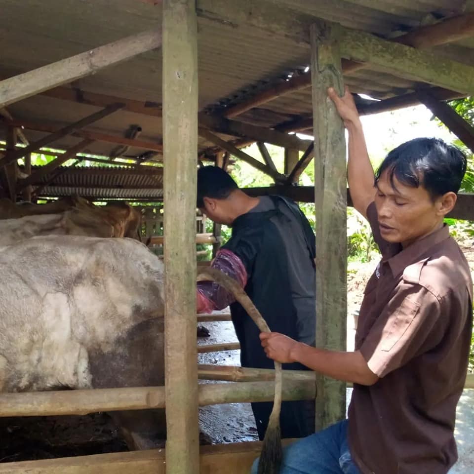 PELAYANAN REPRODUKSI ( PKB, IB, SINKRONISASI ESTRUS ) TERNAK SAPI DI ...