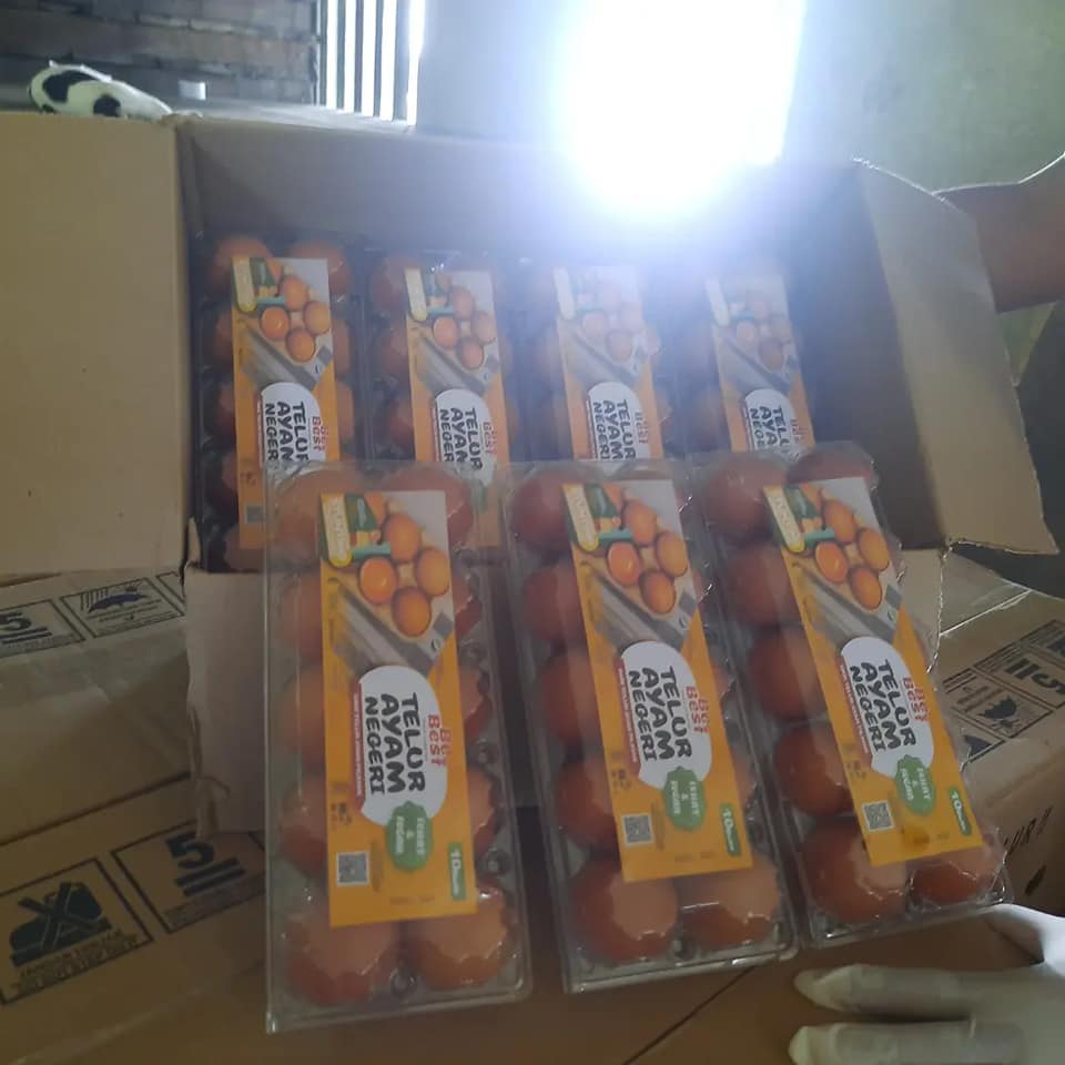 PEMERIKSAAN TELUR AYAM RAS BANTUAN PENANGANAN STUNTING DI FARM LAYER ...