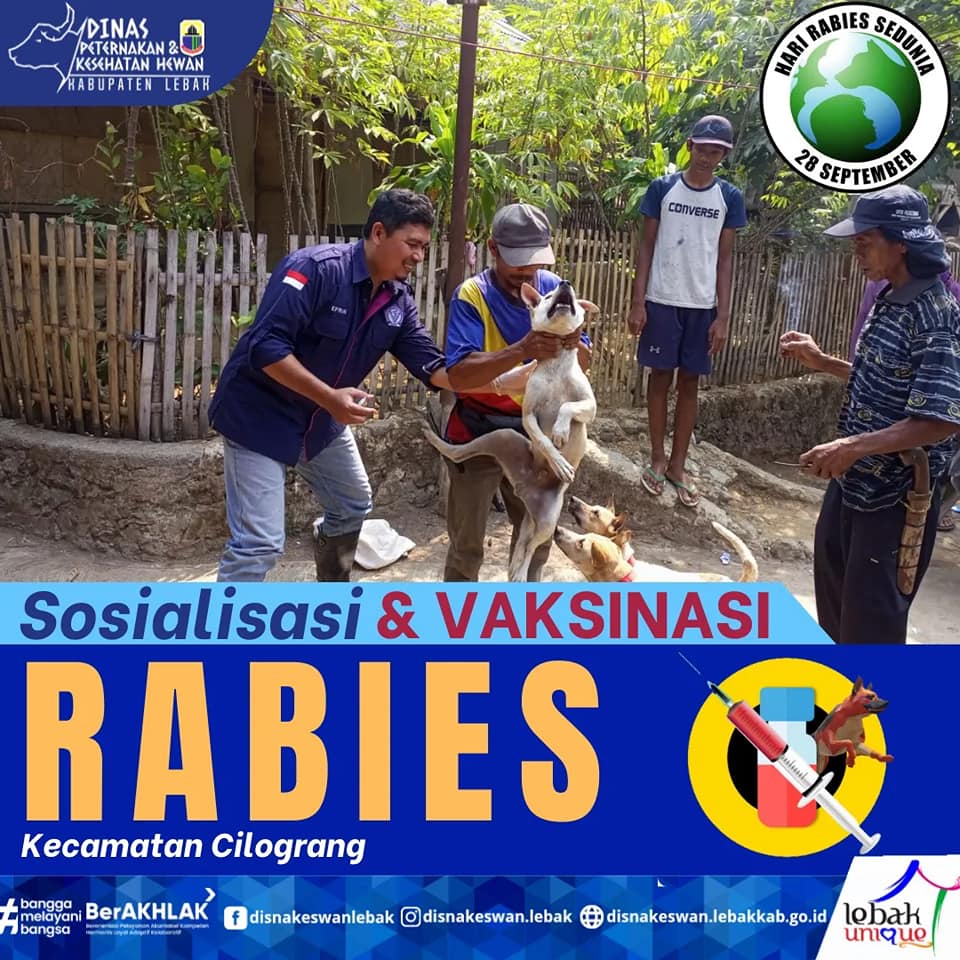 SOSIALISASI DAN VAKSINASI RABIES KECAMATAN CILOGRANG – Dinas Peternakan ...