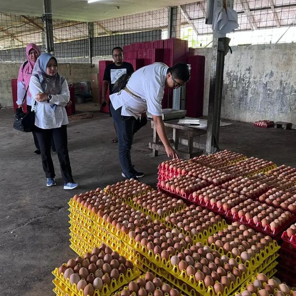PENGAWASAN PRODUK HEWAN DAN PEMBINAAN SERTIFIKAT NKV ( Nomor Kontrol ...