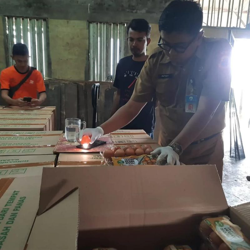 PEMERIKSAAN TELUR AYAM RAS BANTUAN PENANGANAN STUNTING DI FARM LAYER ...