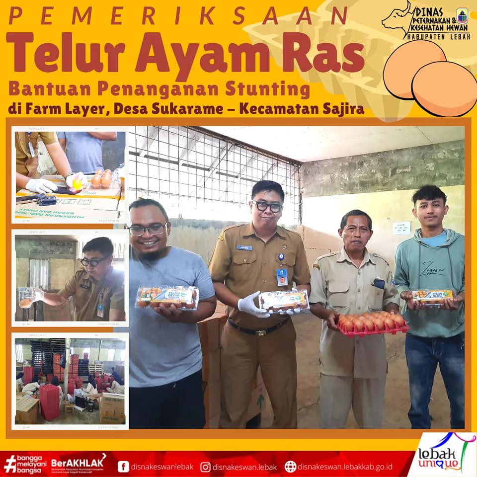PEMERIKSAAN TELUR AYAM RAS BANTUAN PENANGANAN STUNTING DI FARM LAYER ...