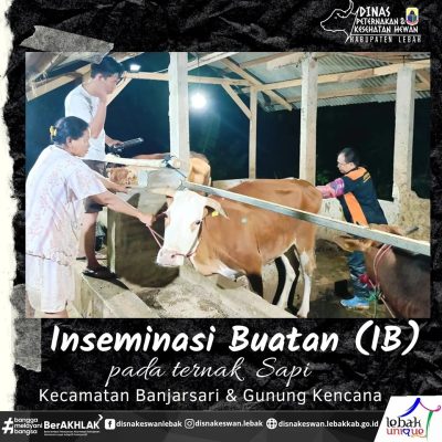 INSEMINASI BUATAN ( IB ) PADA TERNAK SAPI KECAMATAN BANJARSARI & GUNUNG KENCANA – Dinas ...