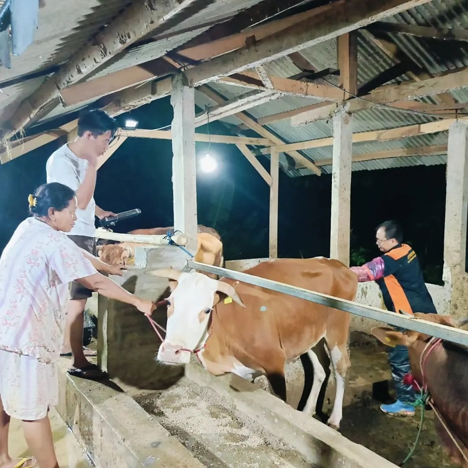 INSEMINASI BUATAN ( IB ) PADA TERNAK SAPI KECAMATAN BANJARSARI & GUNUNG KENCANA – Dinas ...