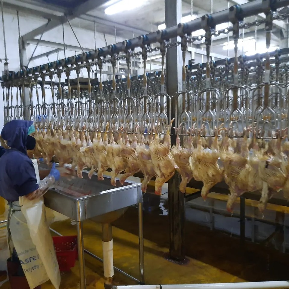AUDIT NKV ( Nomor Kontrol Veteriner ) UNIT USAHA RUMAH POTONG HEWAN ...