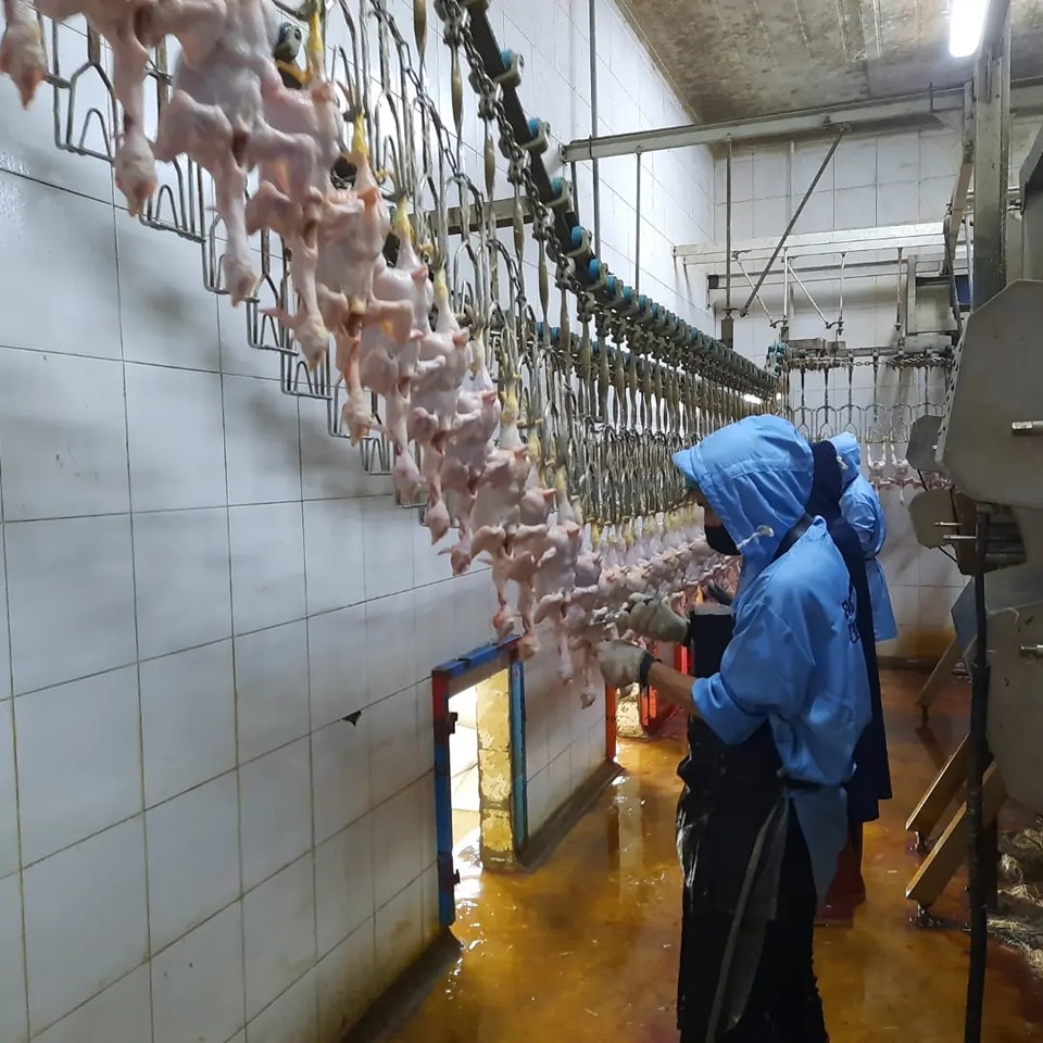 AUDIT NKV ( Nomor Kontrol Veteriner ) UNIT USAHA RUMAH POTONG HEWAN ...