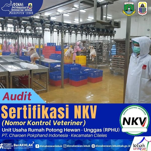 AUDIT NKV ( Nomor Kontrol Veteriner ) UNIT USAHA RUMAH POTONG HEWAN ...