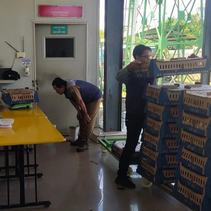 PENGAWASAN PRODUKSI & PEREDARAAN DOC ( DAY OLD CHICK ) HATCHERY FARM ...