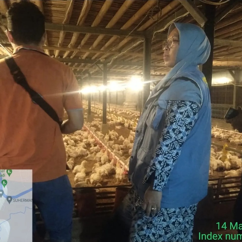 PELAYANAN KESEHATAN HEWAN PEMERIKSAAN KESEHATAN HEWAN DALAM RANGKA ... PELAYANAN KESEHATAN HEWAN PEMERIKSAAN KESEHATAN HEWAN DALAM RANGKA ...