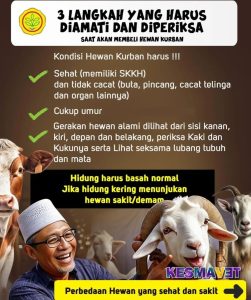 PENILAIAN BODY CONDITION SCORING (BCS) DAN PERAN NUTRISI DALAM ...